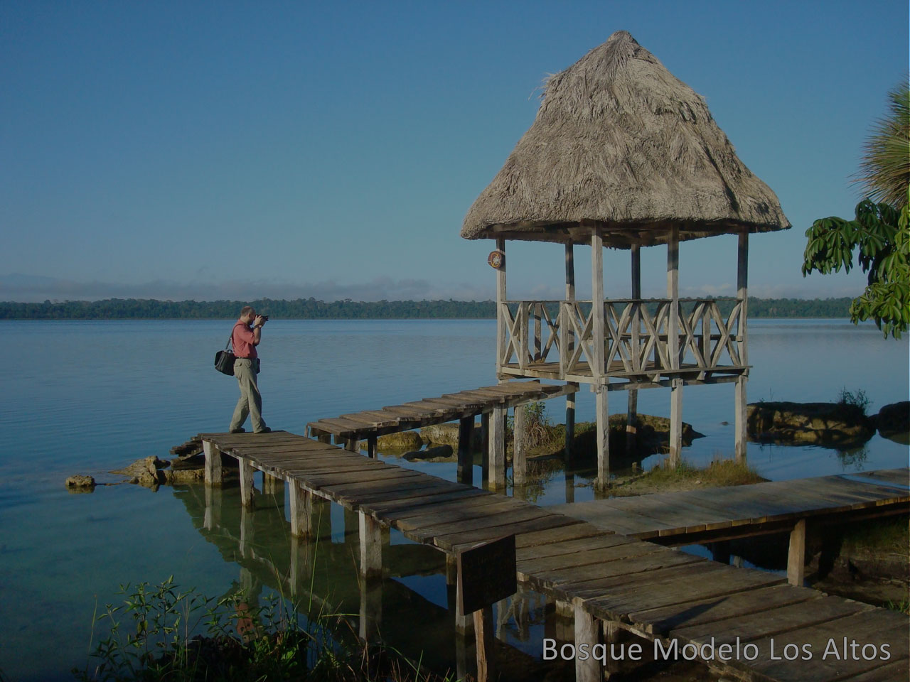 Red Latinoamericana de Bosques Modelo