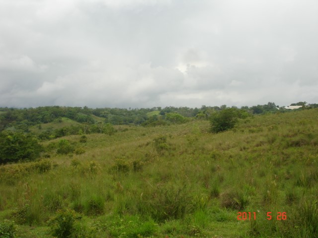 Red Latinoamericana de Bosques Modelo | Colinas Bajas
