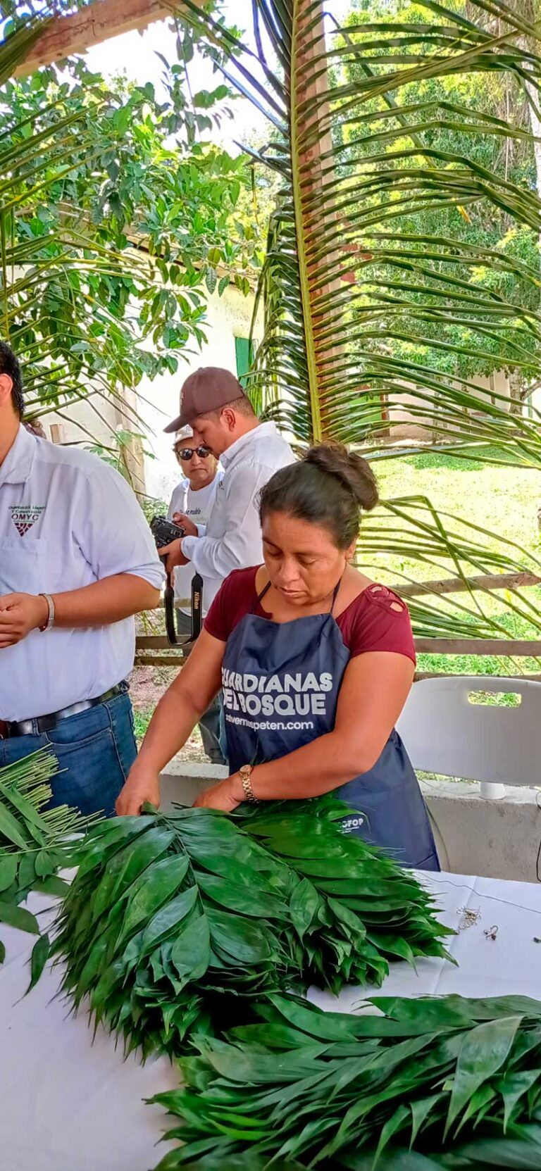 Red Latinoamericana de Bosques Modelo | Equidad de Género en los Bosques Modelo: Avances y ...